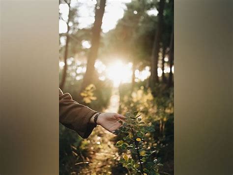Study Finds That Plants Can Detect Touch Theprint
