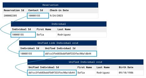 exercise 7 optional enhance data with calculated insights salesforce developers