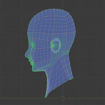 Curves To Mesh Blender