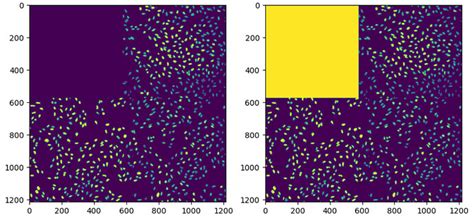Correcting Artefact In Czi Whole Slide Image Files Image Analysis Imagesc Forum