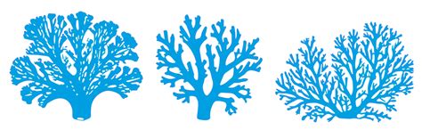 Guide On How To Draw Coral Blog Dessindigo