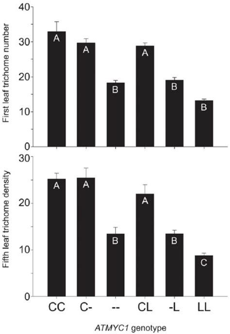 Genetic Complementation Test Results To Test For Genetic Download Scientific Diagram