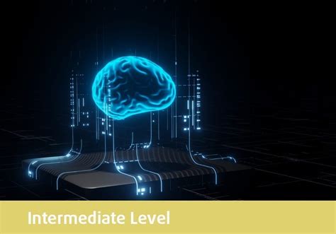 Microsoft Dp 090 Curs De 1 Zi Bittnet Training