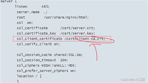 Pki 借助nginx实现客户端使用ca根证书签发客户端证书nginx 客户端证书 Csdn博客