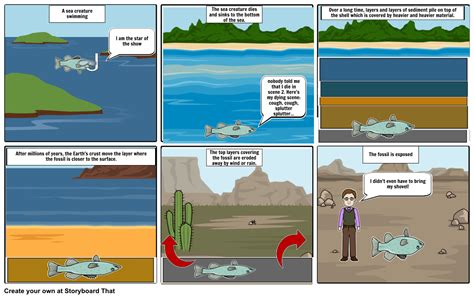 How Fossils Are Formed Storyboard By Sarapark