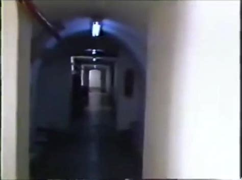 Brazil Interrogation Extract ThisVid Com