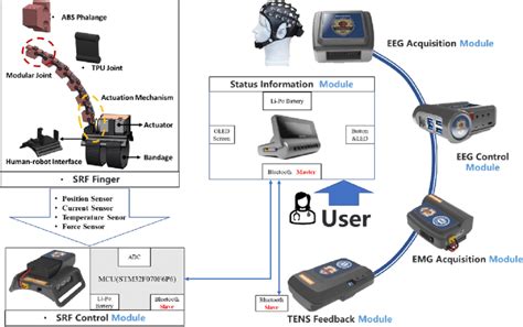 The Embedded System Include EEG Acquisition EEG Control EMG Download Scientific Diagram