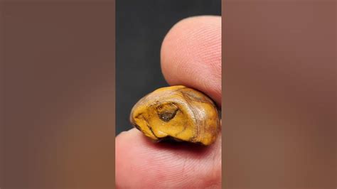 سلطاني 💥 Youtube