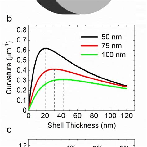 A Schematic Representation Of The Nanowire Core Shell Cross Section Download Scientific