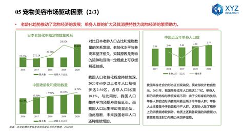 研精毕智信息咨询2021中国宠物美容市场分析研究报告 pdf 先导研报