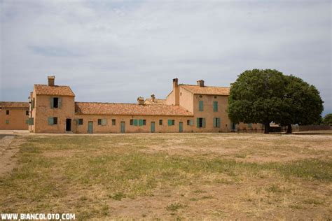 Канны Франция