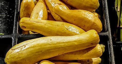 Squash Album On Imgur