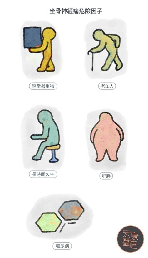 宏康醫道綜合中心 👉🏻坐骨神經是人體內最長的一根神經，從脊髓腰段的神經根發出，由臀部的梨狀肌下方穿出，分布於大腿後