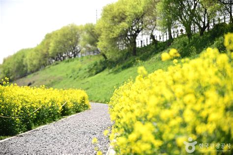 영산강둔치체육공원