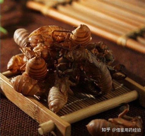 荨麻疹可能是热邪上身又是一张好方子凉血消风止痒请感受 知乎
