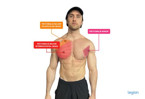 Best Chest And Shoulder Workout For Maximum Mass Ihealthy Care
