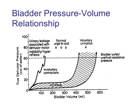 Urinary Bladder And Micturition Medical Infographics