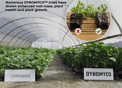 Dynomyco Premium Mycorrhizal Inoculants Northern Lights Green Supply