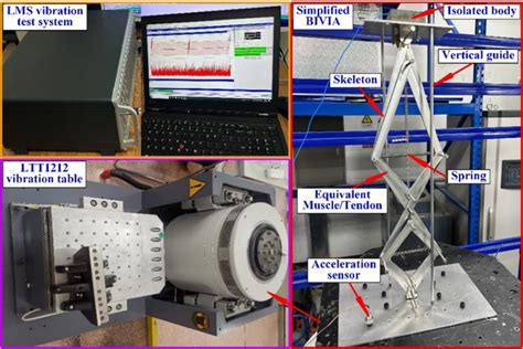 The Experimental Setup Of The Simplified Bivia Structure Download