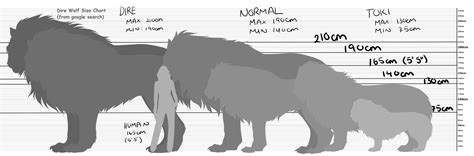 Types Of Wolves List