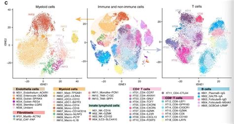 R语言ggplot2 多线图绘制图例ggplot2绘图基础功不扎实？看完这5个资源 Csdn博客