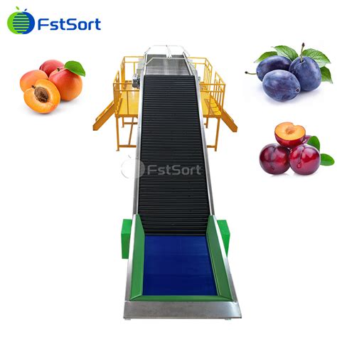 stone fruit sorting grading fruit classifying calibration machine for