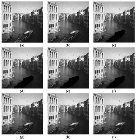 Tamper Detection And Recovery Performance For Image Deletion Attack Download Scientific