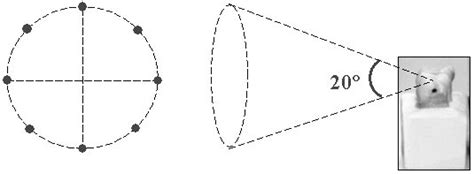 Schematic Representation Of The Angular Disparities And Number And Download Scientific Diagram