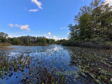 Samsung Galaxy S FE Camera Test Is It Any Good Phandroid