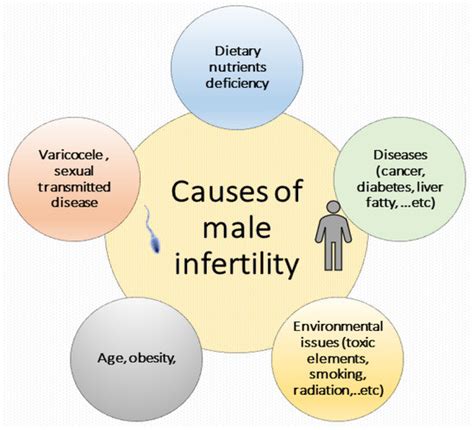 Male Infertility Statistics