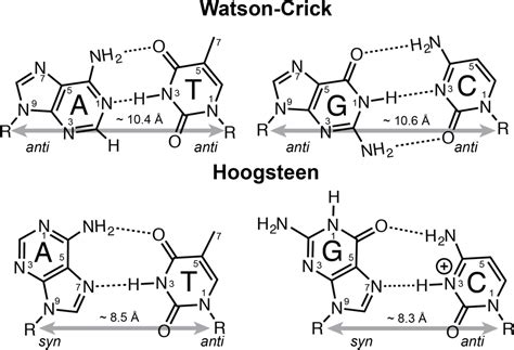 What Is Rre In Deped Printable Forms Free Online What Is Rre In Deped Printable Forms Free Online