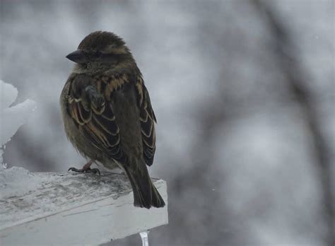 Nature Is Fucking Lit