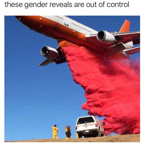 Gender Reveal Gone Wrong Crazy Funny Memes Memes Funny Memes