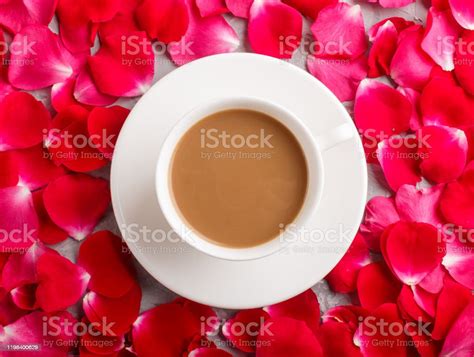 빨간 장미 꽃잎 배경과 커피 한 잔 마니니그 봄 패션 구성 플랫 레이 상단보기 클로즈업 0명에 대한 스톡 사진 및 기타 이미지 Istock