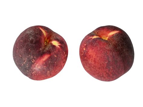 Peaches 12 Models Flippednormals