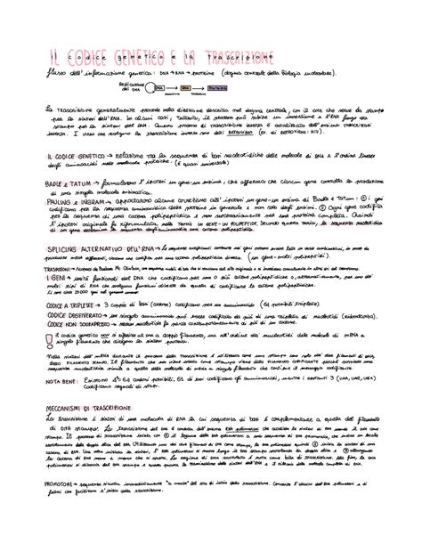 Codice Genetico E Trascrizione Schemi E Mappe Concettuali Di Biologia