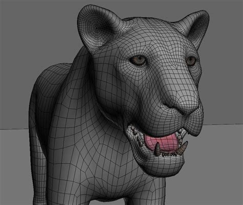 Leopard No Fur 3d Model By Virtual Creator
