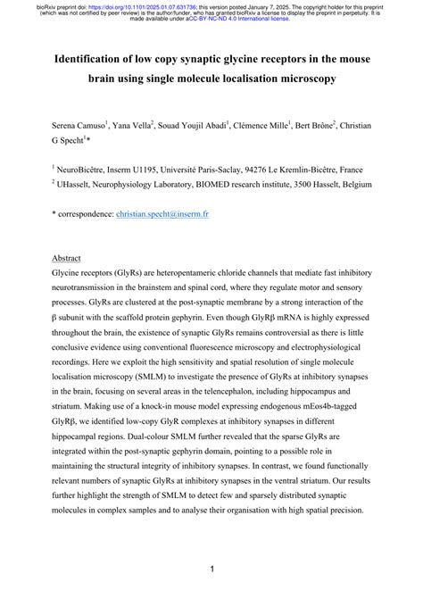 PDF Identification Of Low Copy Synaptic Glycine Receptors In The Mouse Brain Using Single