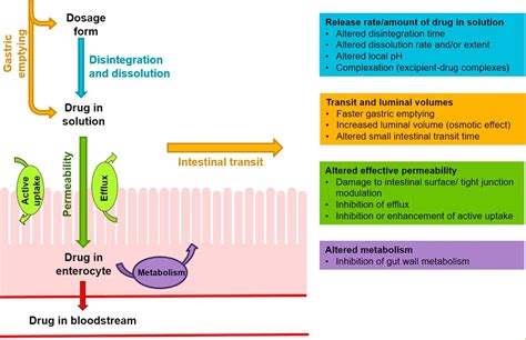 Bcs Class 1 Drugs Pinanax