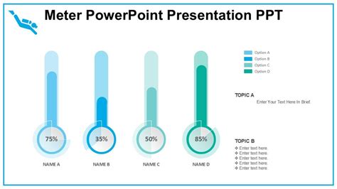 Meter Powerpoint Presentation Ppt Pptuniverse