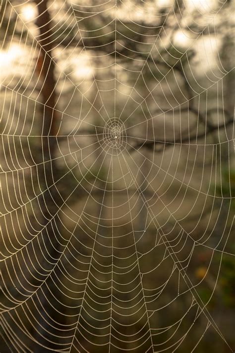 Top 10 Features Of Aspnet Core For Modern Web Developers Kmf Blogs