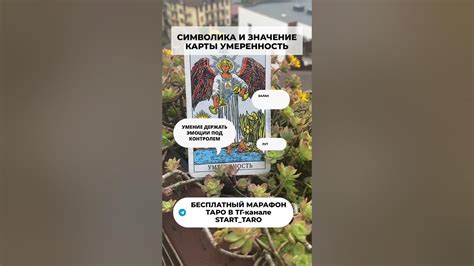 Таро Умеренность Значение Youtube