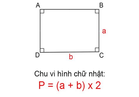Chu vi là gì lớp Bí quyết Tìm hiểu và Tính toán chu vi cho Học sinh Tiểu học