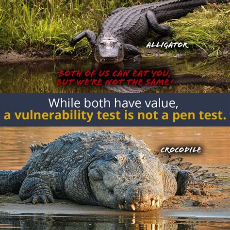 Enterprise It Security On Linkedin Penetrationtesting Cybersecurity Themoreyouknow 13 Comments