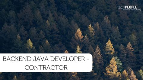 Techpeople Hiring Backend Java Developer Contractor Techpeople Group