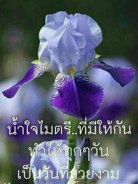 คำกลอน คนนอนดึก ฆ้องระฆัง ฟังดีๆ มีเสน่ห์