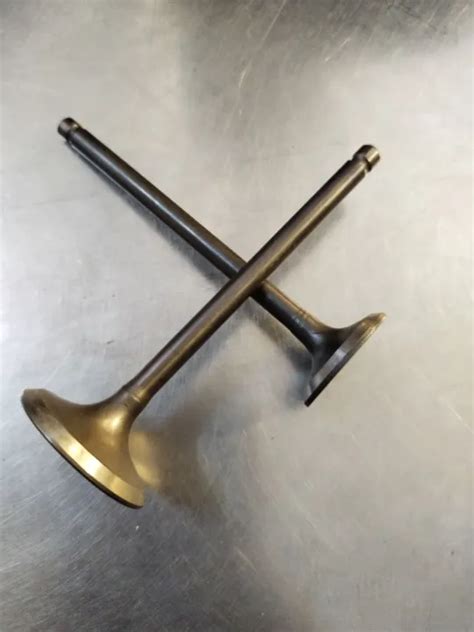 Engine Valve Dink 150 Intake And Exaus Lazada Ph