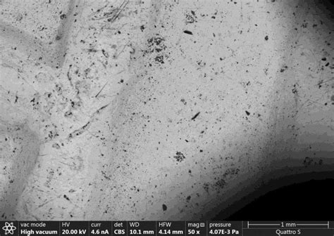 Macrostructure Of The Surface Of The Silver Bowl In The Place Of Download Scientific Diagram