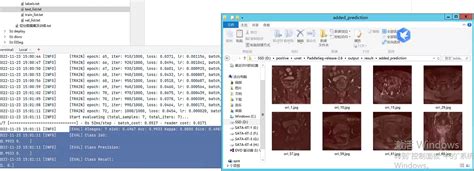 unet训练验证时，miou为0，precission为0，recall为0，kappa为0。 · issue 2755 · paddlepaddle paddleseg · github