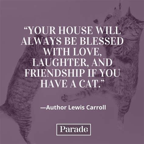 Cat Love Quotes